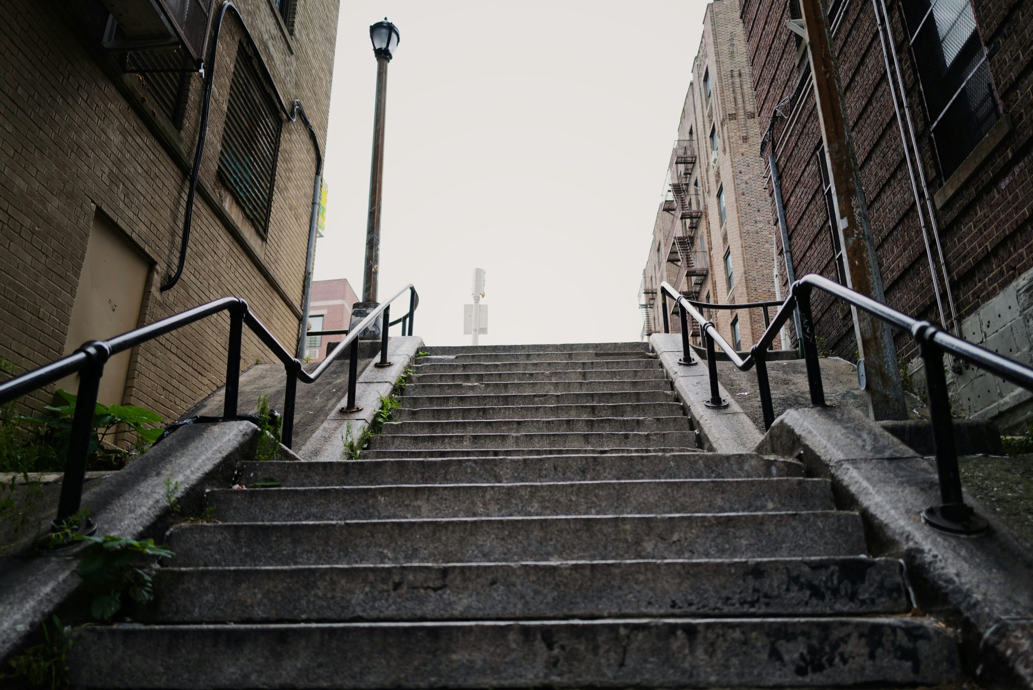 20 Fascinating Facts About the Bronx New York You Should Know